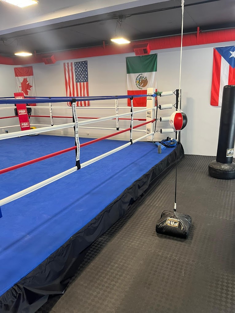 Home - Train Like a Champion at Adrenaline Boxing Club