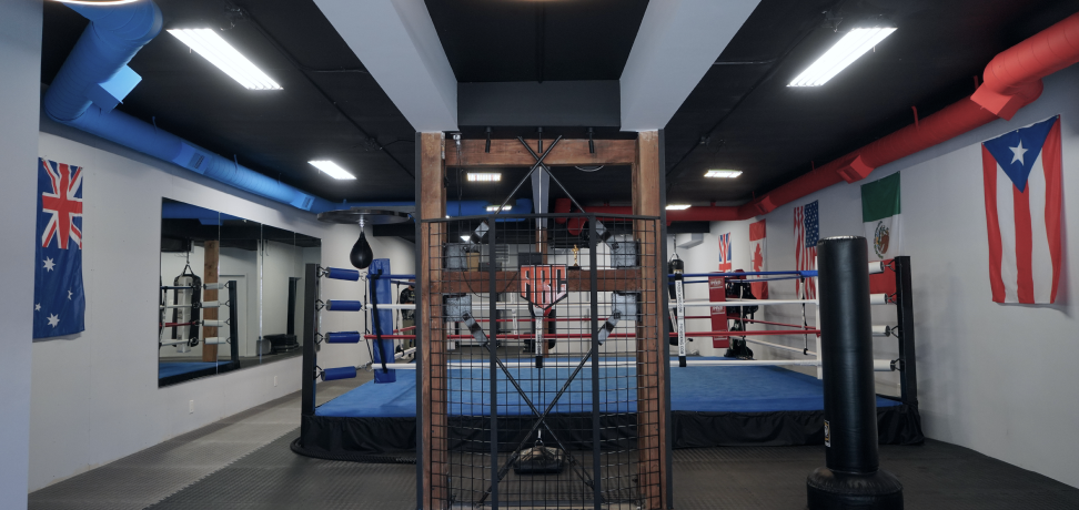 Home - Train Like a Champion at Adrenaline Boxing Club