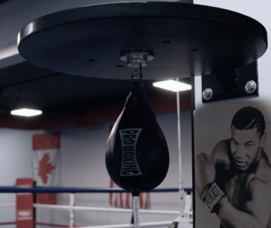 Home - Train Like a Champion at Adrenaline Boxing Club
